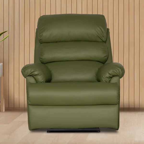 Single Seater Recliner Chair - Green Style 163 | Recliner Sofa ...