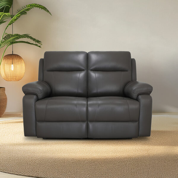 Two-Seater Living Room Recliner - Omega – Premium Half Leather Sofa Set ...